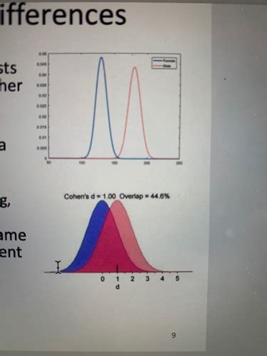 Sex And The Brain Flashcards Quizlet