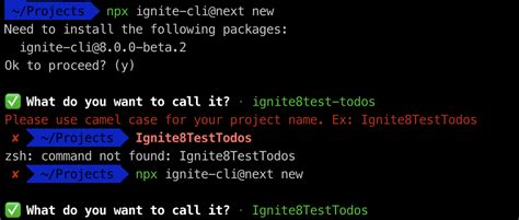 Catch Non Camelcase Project Name Reformat To Camelcase As Default Project Name · Issue 2145