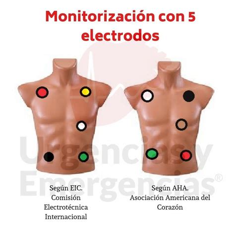 5 Electrode Monitoring In Nursing