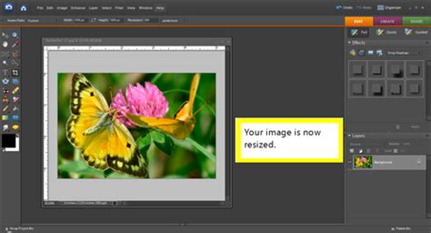 photoshop elements how to resize images linda matthews