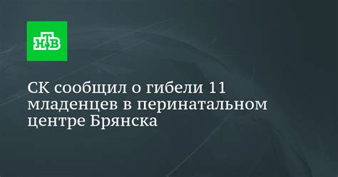 СК сообщил о гибели 11 младенцев в перинатальном центре Брянска Новости НТВ
