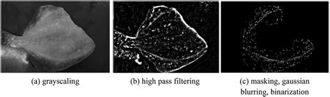 Preprocessing Process Applying The Image Processing Filter To Images Download Scientific