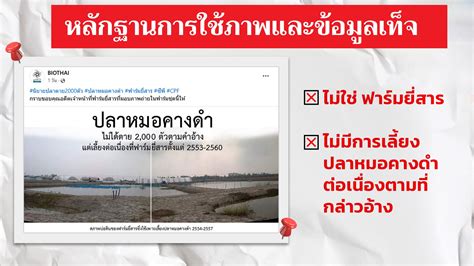 ซีพีเอฟ ตั้งโต๊ะแถลง ปม นำเข้า ปลาหมอคางดำ ไม่เป็นความจริง