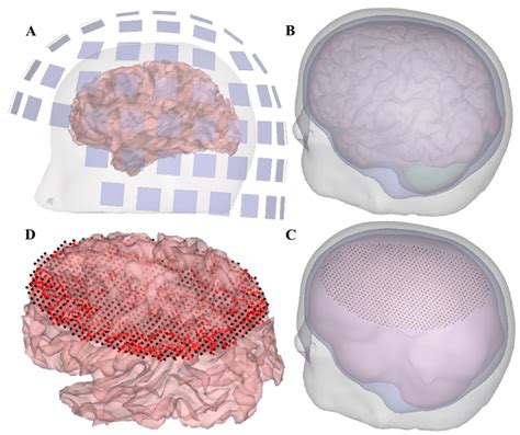 The Head Model Geometries A Shows The Meg Sensors Scalp And
