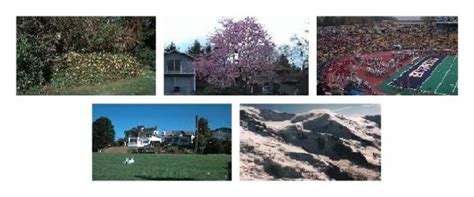 Samples Of Images From 5 Semantic Classes Of Ground Truth Image Benchmark Download Scientific