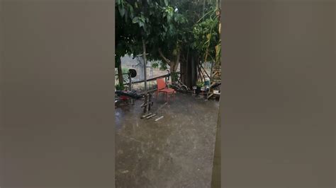 Heavy Rain Nature Relaxing Rain Sleepmusic Sleepsounds Rainsounds