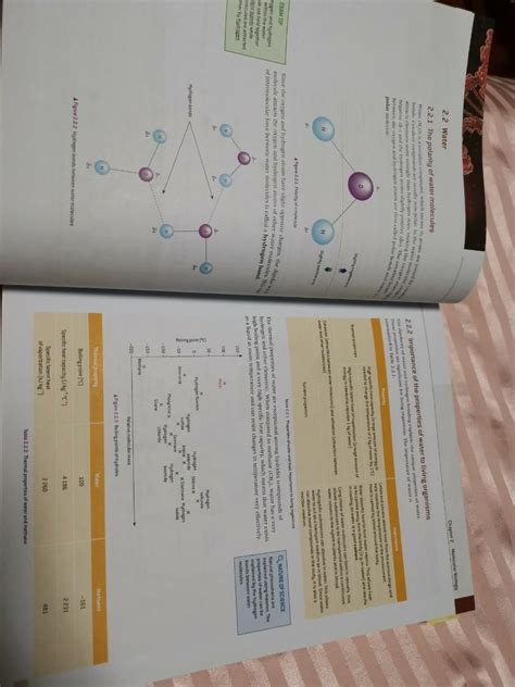 IB Biology SL And HL Syllabus Guide Hobbies Toys Books Magazines Assessment Books On