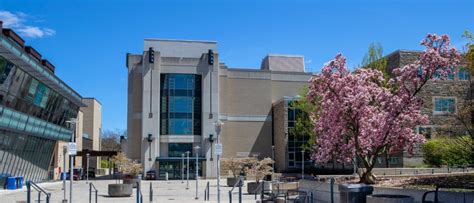 Undergraduate Programs Sociology Mcmaster University