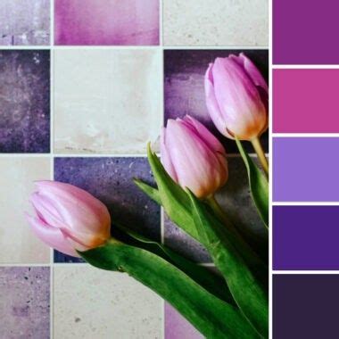 Gama De Colores Violetas Para Paredes Casa Y Color Paleta De Colores Morado Paleta De