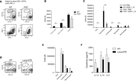 Conventional And Monocyte Derived Cd11b Dendritic Cells Initiate And