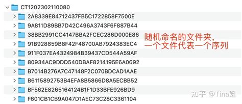 数据预处理 Sort 乱序dicom 文件 知乎