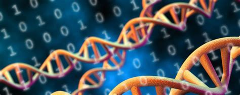 14 Mutation Analysis Tools Introduction Principle Input And Output