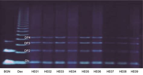 Polysaccharide Analysis Using Carbohydrate Gel Electrophoresis Pace Download Scientific