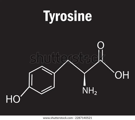 Tyrosine Amino Acid Formula Structure Chemical Stock Vector Royalty