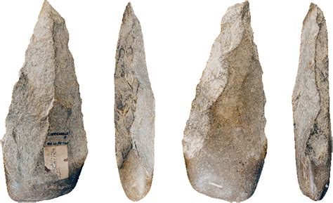 Stone Tools In The Fossil Record