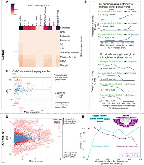 Microglia Astrocyte Crosstalk In The Amyloid Plaque Niche Of An