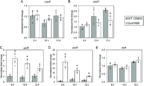 Transcript Abundance Of Some Known Regulators Of Sporulation In The C Download Scientific
