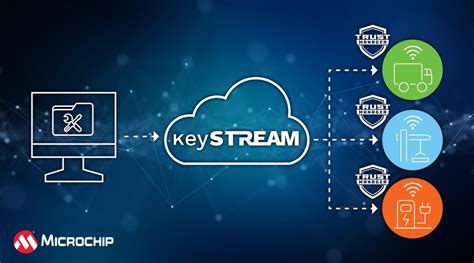 Empowering Innovation Microchip Technology