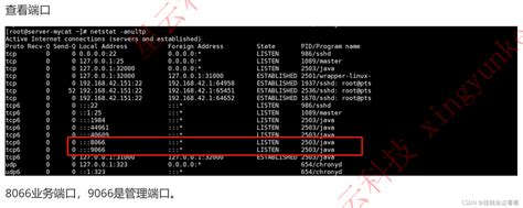 Mysql使用mycat实现读写分离mysql通过代理mycat做读写分离 Csdn博客
