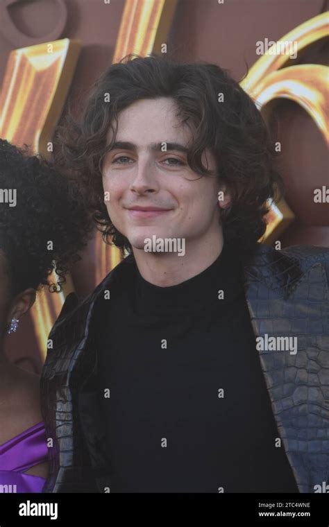 Los Angeles California Usa 10th December 2023 Actor Timothee Chalamet Attends Warner Bros