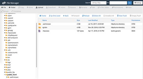 What Is Root Directory For A Website