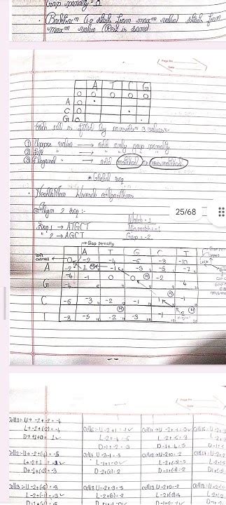 Dynamic Programming Methodneedleman Wunsch And Smith Waterman