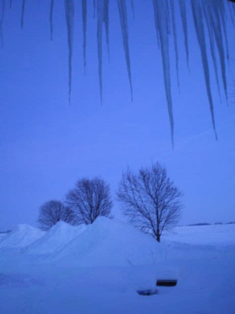 Albert City Ia Winter Evening Blue Beauty Winter 09 10 Photo