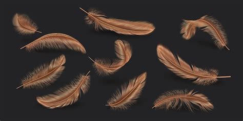 Premium Vector Brass Feathers Realistic Vector Illustration Collection