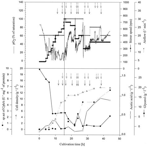 Fed Batch Fermentation Of E Coli Dh1pmac5 914cpha At The 30 Liter
