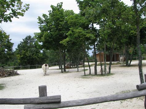Magyar Kaland Veszprém Állatkert