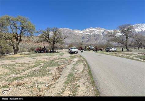 حمله آفت جوانه خوار به 25 هزار هکتار از جنگل های بلوط تسنیم