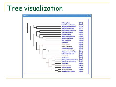 Ppt A Search Engine For Phylogenetic Tree Databases Powerpoint