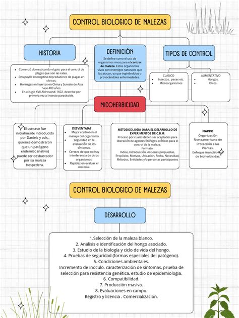 Mapa Conceptual Control Biologico De Las Malezas Calderón Gonzáles Arturo Guadalupe Zelik Pdf