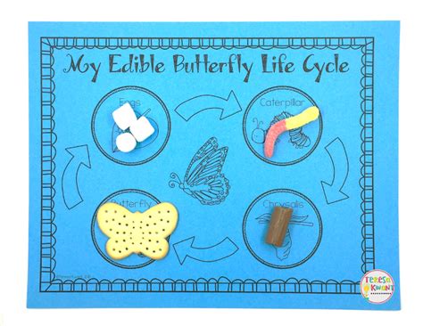 Butterflies Teresa Kwant