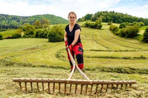 Windrows Bilder Durchsuchen 3 207 Archivfotos Vektorgrafiken Und Videos Adobe Stock