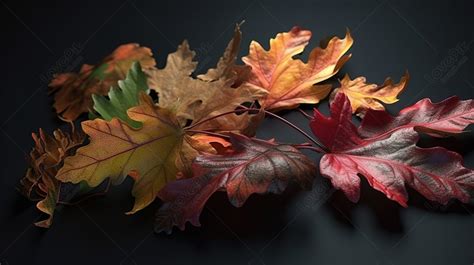 놀라운 3d 렌더링 배경으로 매혹적인 가을 단풍 3d 배경 3d 렌더링 배경 굉장히 멋진 배경 이미지 Hd 3d 3d 렌더링 굉장히 멋진 배경 사진 무료 다운로드