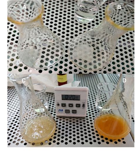 Figure 2 From Validation Of Sample Preparation Methods For Microplastic