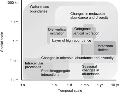 Spatiotemporal Representation Of The Interactions Between Download