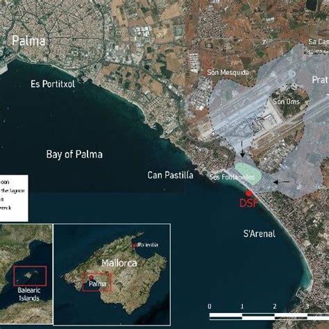 Samples For The Petrographic Analysis Download Scientific Diagram