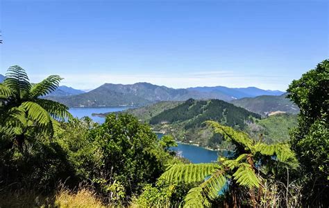 Download Scenic Viewof Nelson Lakes New Zealand Wallpaper