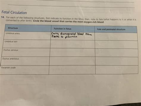 Solved Fetal Circulation 14 For Each Of The Following