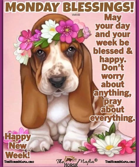 Happy Monday Afternoon Quotes Happy Monday Quotes Mondays Are The