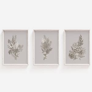 Botanical Print Set Wall Art Prints Set Of 3 Prints Botanical Wall