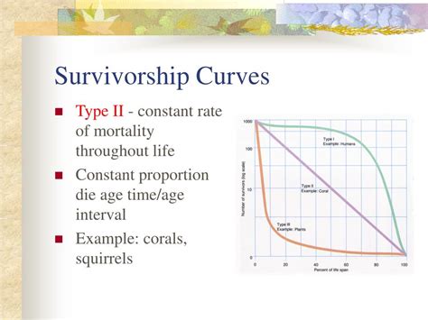Ppt Chapter 5 Powerpoint Presentation Free Download Id 866584