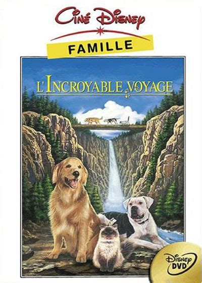 Dvdfr Lincroyable Voyage Dvd