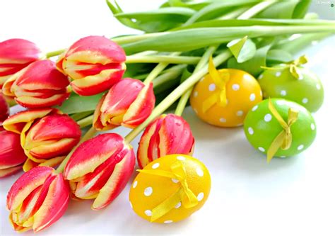 Tulips Easter Eggs Flowers Wallpapers 2560x1800
