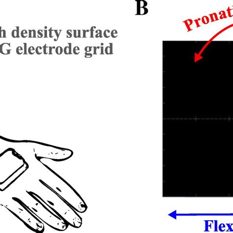 The Experimental Setup A And The Visual Cue Provided To The Subjects