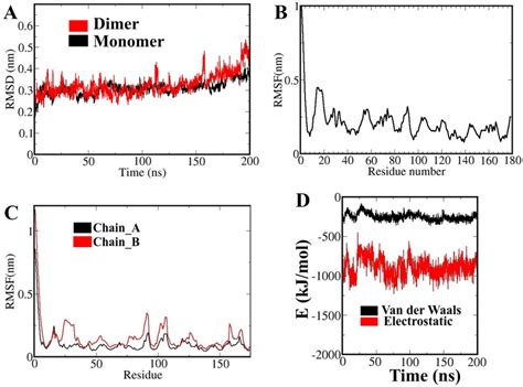 Molecular Dynamics Simulation Analyses For Monomeric And Dimeric States