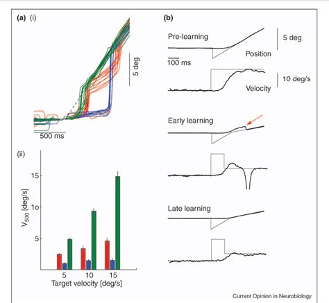 Figure 1 From The Neural Basis Of Smooth Pursuit Eye Movements