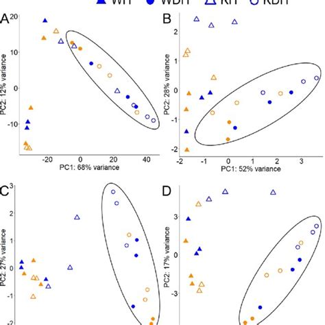 Effect Of Growth Conditions On The Patterns Of Gene Expression Download Scientific Diagram